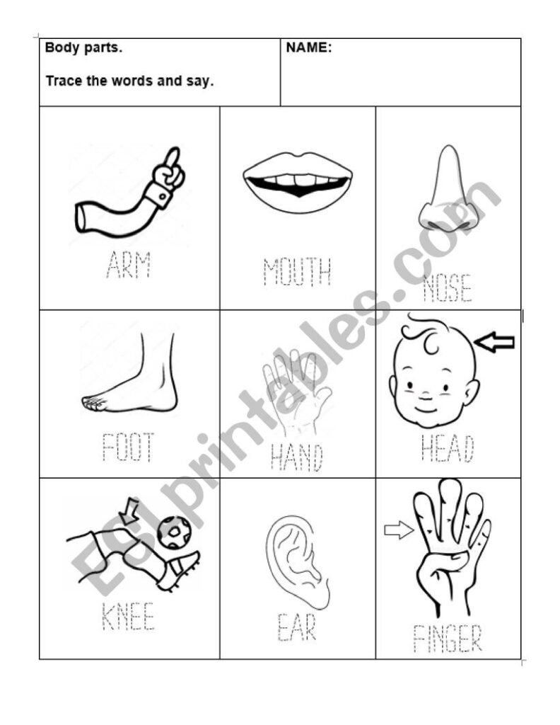 Body Tracing Worksheets | Tracing Worksheets